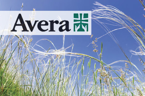 Avera Health hire Head of HR | Organisational Development | HR ...