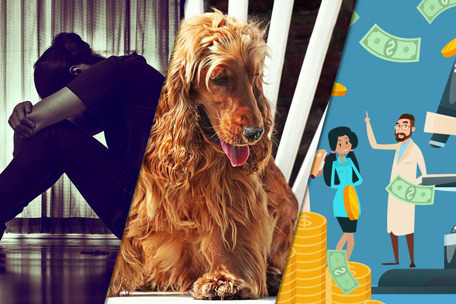 The Best Incentives of February | Compensation, Benefits & Payroll | HR ...