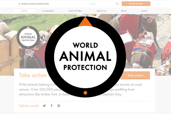 World Animal Protection appoints new Global Head of HR | | HR Grapevine ...