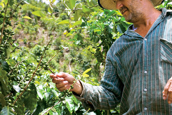 Starbucks Coffee talks about ethical sourcing and community culture ...
