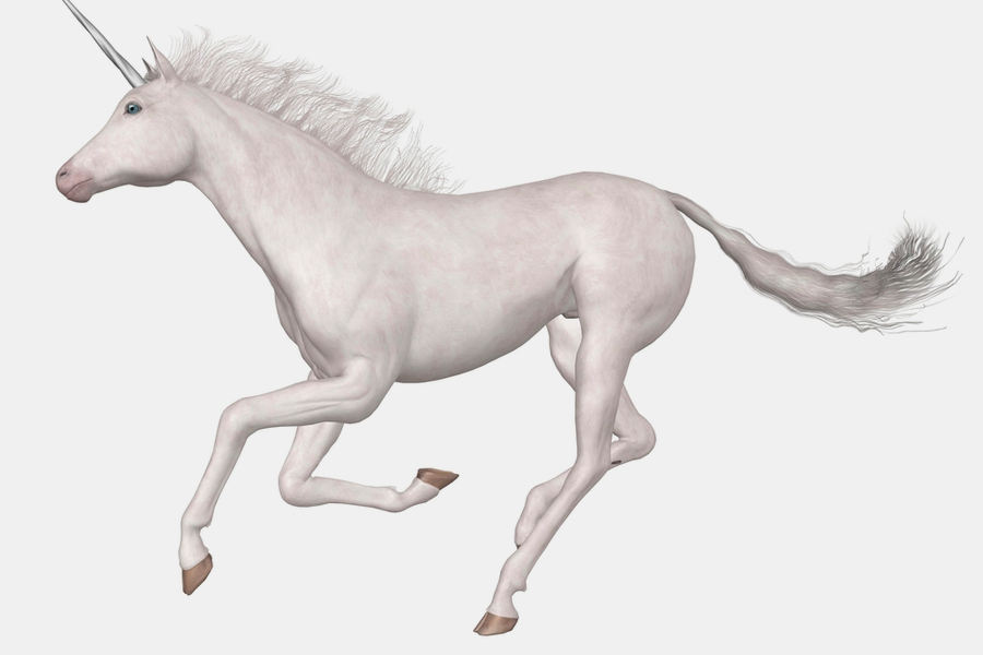 How to catch a Data Science Unicorn | Learning & Development | HR ...