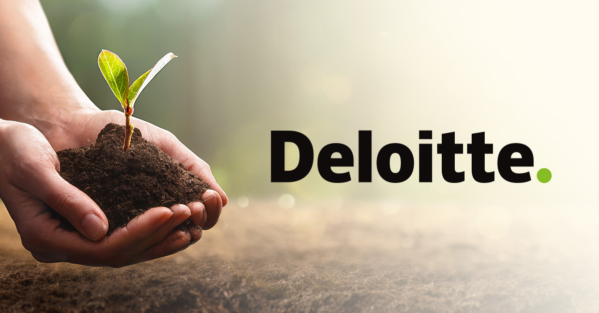 Deloitte launches global sustainability and climate education scheme ...