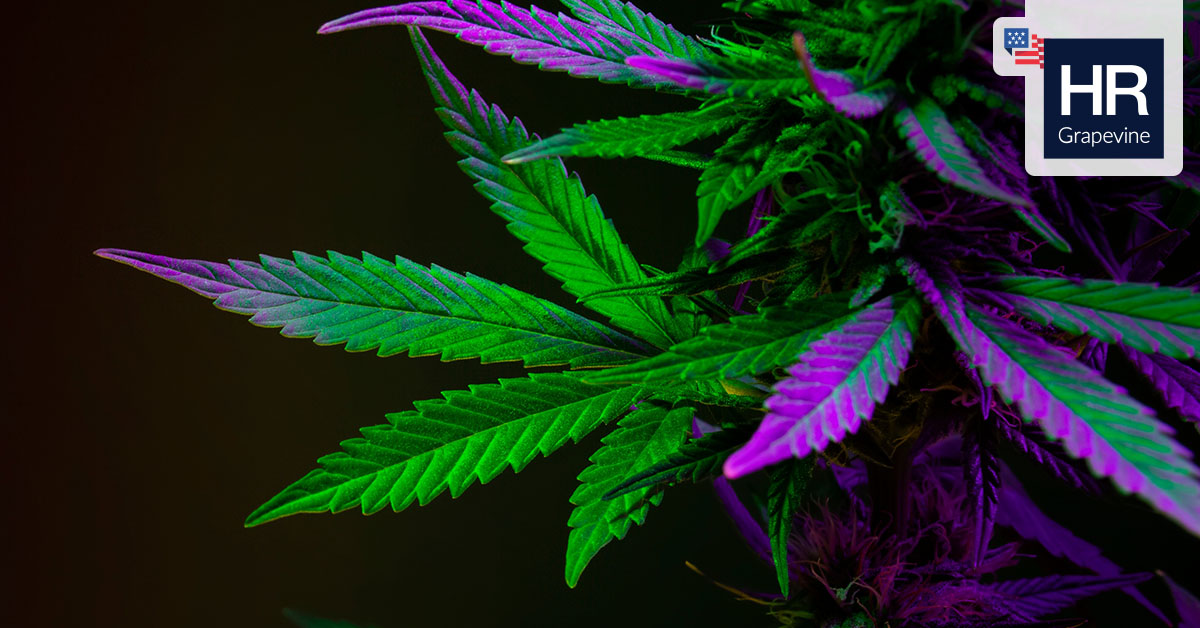 600 workers at Eaze, the “Uber of weed,” threaten 'unprecedented' strike over pay and conditions ...