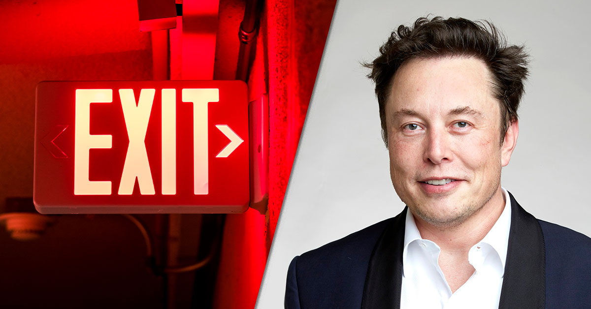 Musk's 'stay or go' poll sums up the crisis he's created at Twitter ...