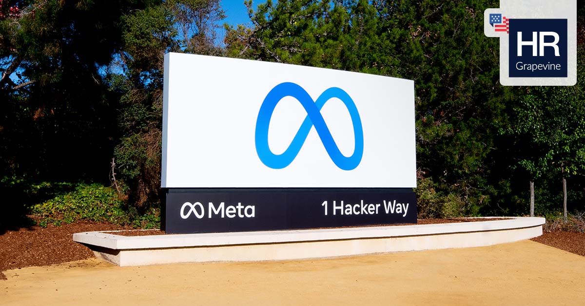 Why Meta's AI advisory council of only white males is bad for business ...