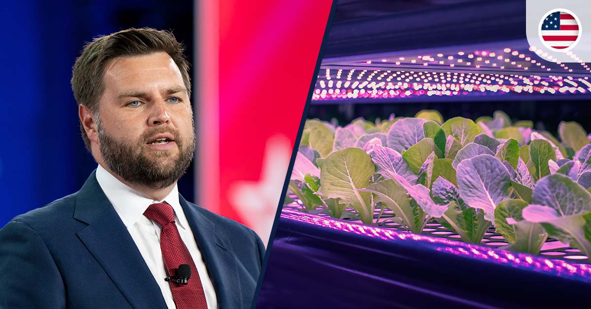 Former employees recall "nightmare" work conditions at JD Vance-backed startup | Employee ...