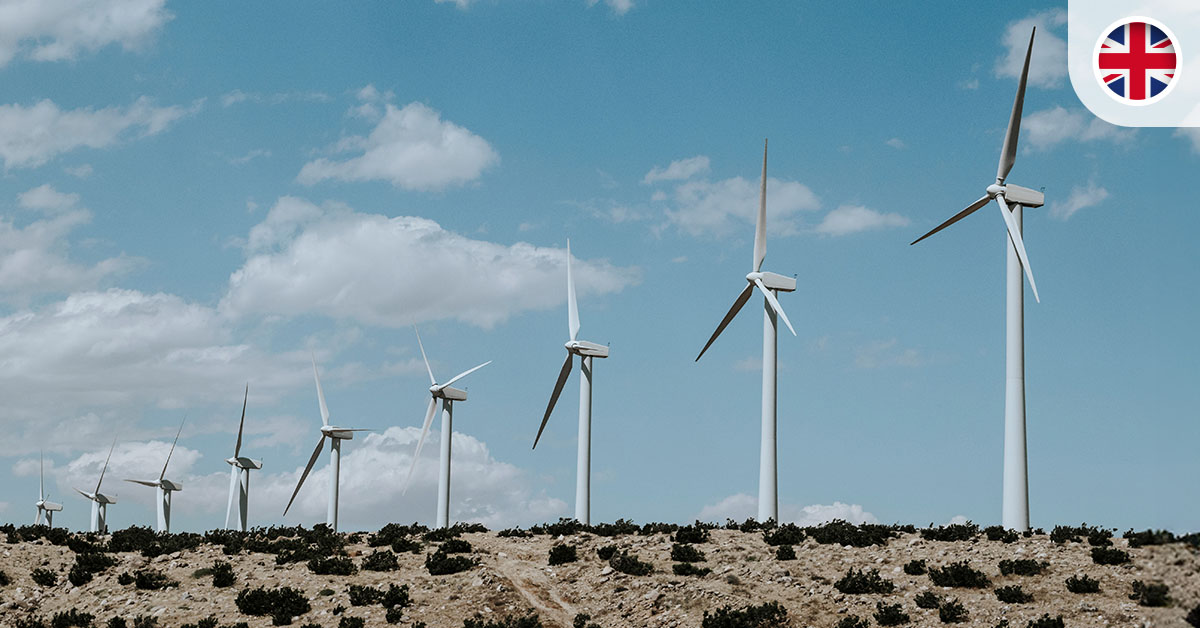 Wind farm operator Orsted cutting 2000 jobs after Trump nixes projects ...