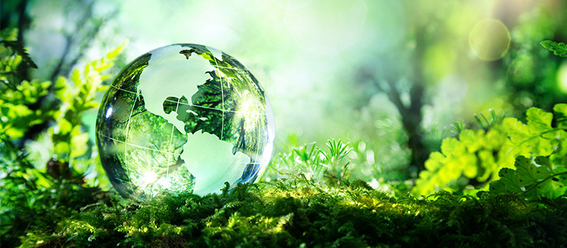 Top five eco-friendly companies in the world revealed | | HR Grapevine ...