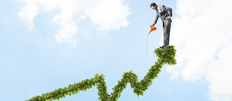 Reaping reward through tailored training | Performance & Development ...