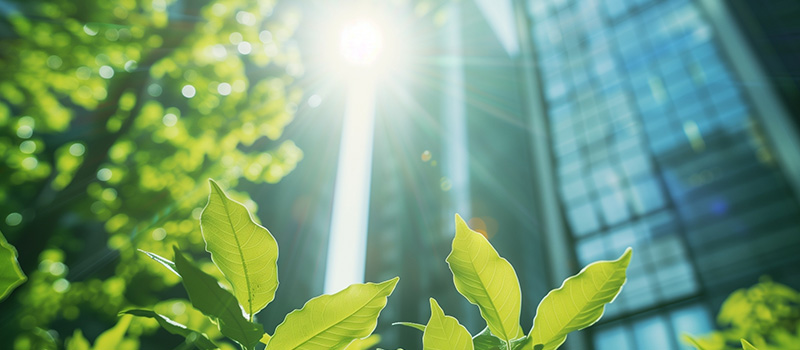 4 CSR & employee engagement trends every HR leader should know ...