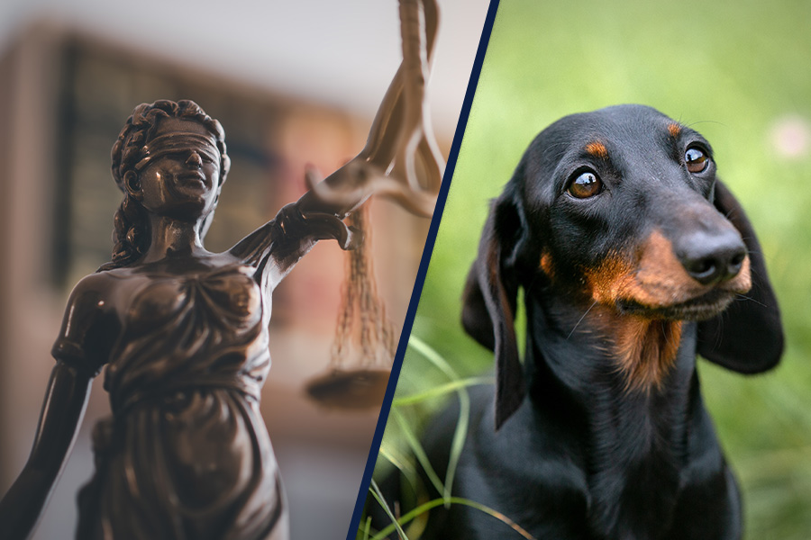 Worker facing jail after embezzling £1m from employer | Business Acumen ...