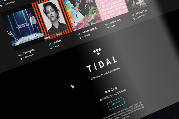 Tidal appoints 3rd CEO in 8 months | | HR Grapevine | News