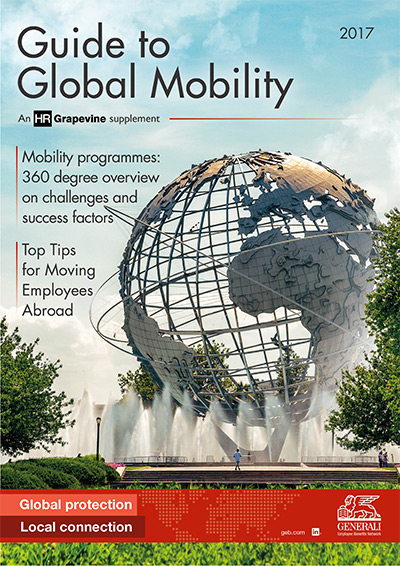 Mobility programmes: 360 degree overview on challenges and success ...